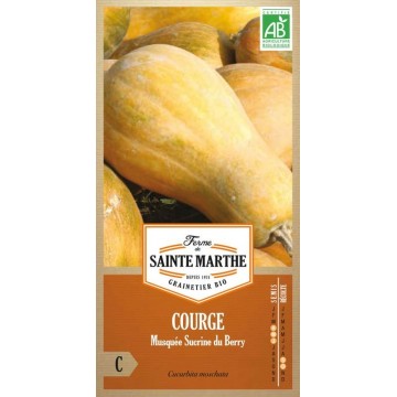 Courge Musquée Sucrine du Berry AB | Graines Bio Reproductibles